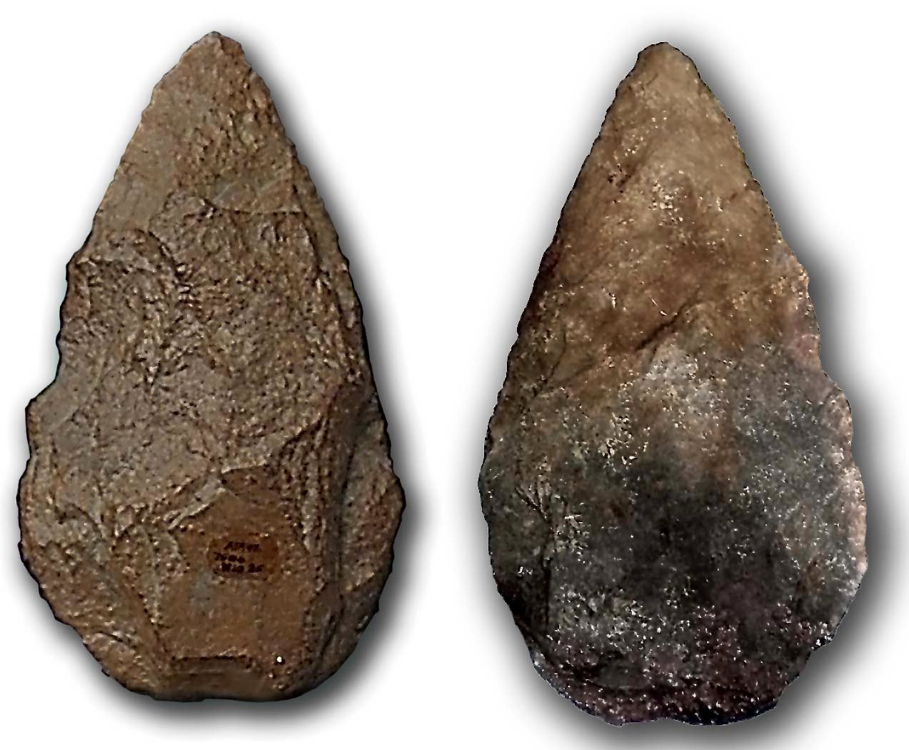 ¿Qué herramientas se utilizaban en el Paleolítico? - El Legado Prehistórico