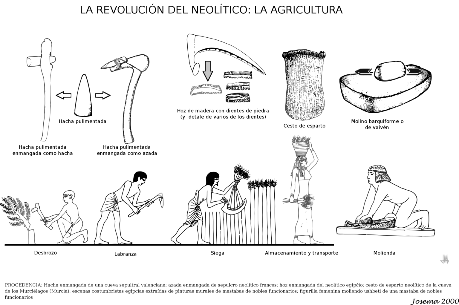 ¿Qué herramientas se utilizaron en el Neolítico? - El Legado Prehistórico
